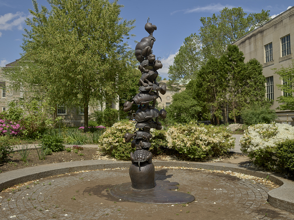 Cheat Code – Digby's Hullabaloo